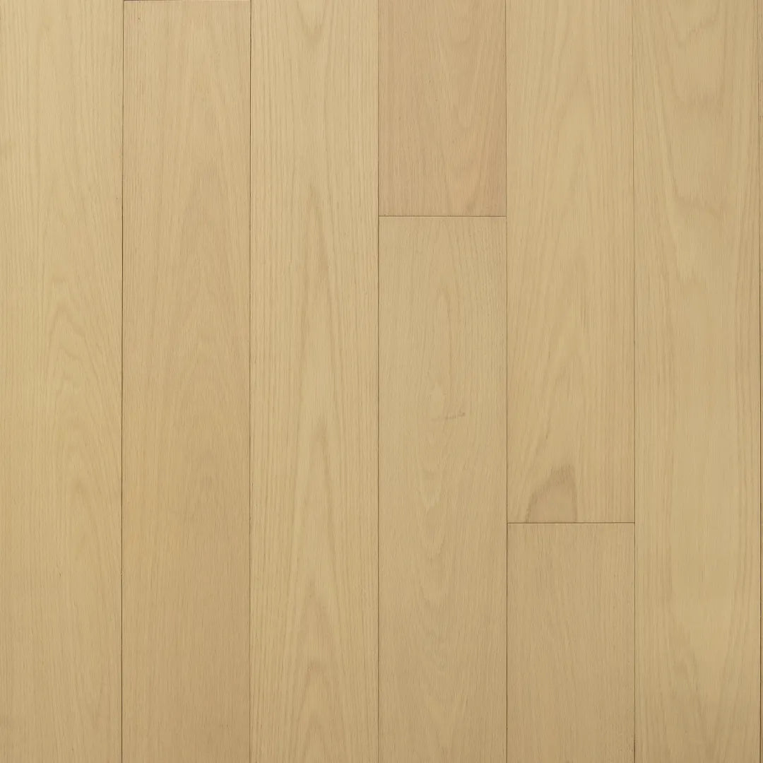 Engineered Flooring - Spring Beach 6-1/2 X 3/4" 20.62sqft/box | Besso