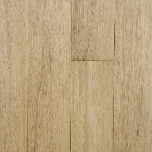 Your Home Renovation Destination – Besso Floor & Decor
